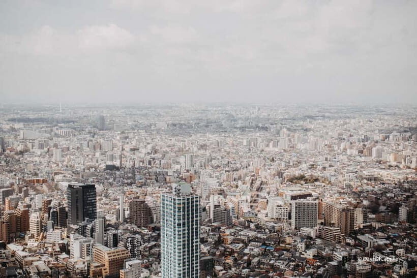 Tokyo, half day : private tour with an expert ! - The Sum Up