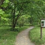 Tokyo Imperial Palace Higashi Gyoen Wellness Tour - FAQ