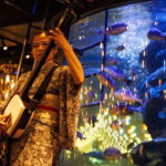 Tokyo: Japanese Experiece Dinner with Diving Ama Performance - Who Will Love This Experience?