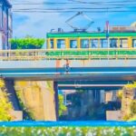 Tokyo Kamakura Day Trip - Practical Aspects of the Tour