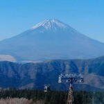 Tokyo-Kamakura-Hakone-Mt.Fuji-Nara-Kyoto-Osaka: 3-Day Tour - What Makes This Tour Stand Out?
