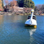 Tokyo Kichijoji 4hr Private Tour: Fun for Kids and Parents - What to Expect From the Experience