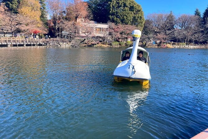 Tokyo Kichijoji 4hr Private Tour: Fun for Kids and Parents - What to Expect From the Experience