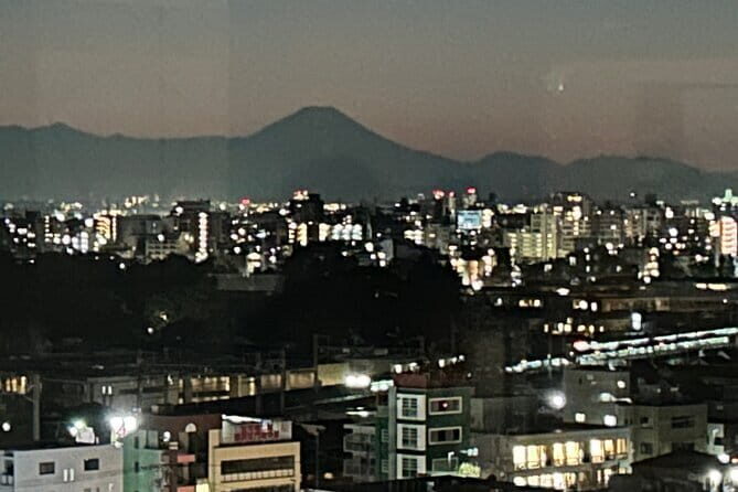 Tokyo Kichijoji Twilight: Explore Instagram-Worthy Hidden Spots - Who Is This Tour Best Suited For?