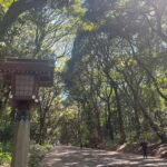 Tokyo: Meiji Jingu, Yoyogi Park & Takeshita Street Tour - A Deep Dive into the Experience