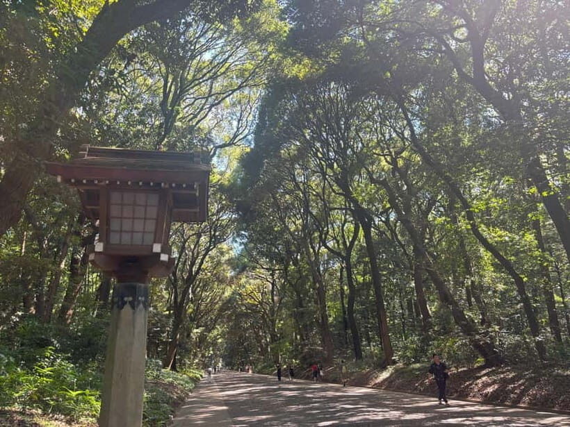Tokyo: Meiji Jingu, Yoyogi Park & Takeshita Street Tour - A Deep Dive into the Experience