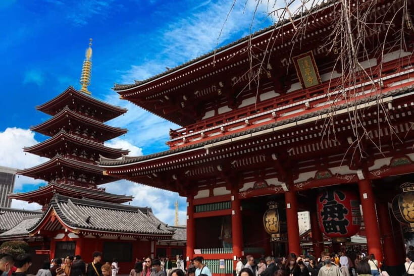 Tokyo Morning Highlights: Shibuya, Asakusa, Meiji Shrine - Practical Details and Value