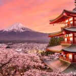 Tokyo: Mount Fuji Full day Private Sightseeing Guided tour - Who Should Consider This Tour?
