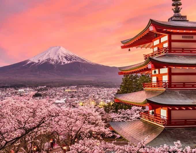Tokyo: Mount Fuji Full day Private Sightseeing Guided tour - Who Should Consider This Tour?