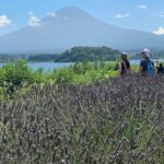 Tokyo: Mount fuji & Hakone Private Day Tour - In-Depth: The Itinerary Breakdown