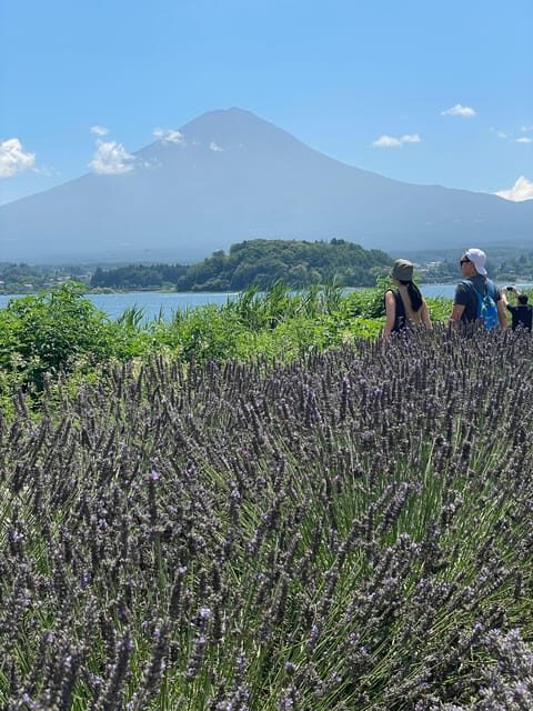 Tokyo: Mount fuji & Hakone Private Day Tour - In-Depth: The Itinerary Breakdown