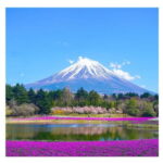 Tokyo: Mount Fuji Private Day Tour Comfortable Pickup & Drop - Who Will Love This Tour?