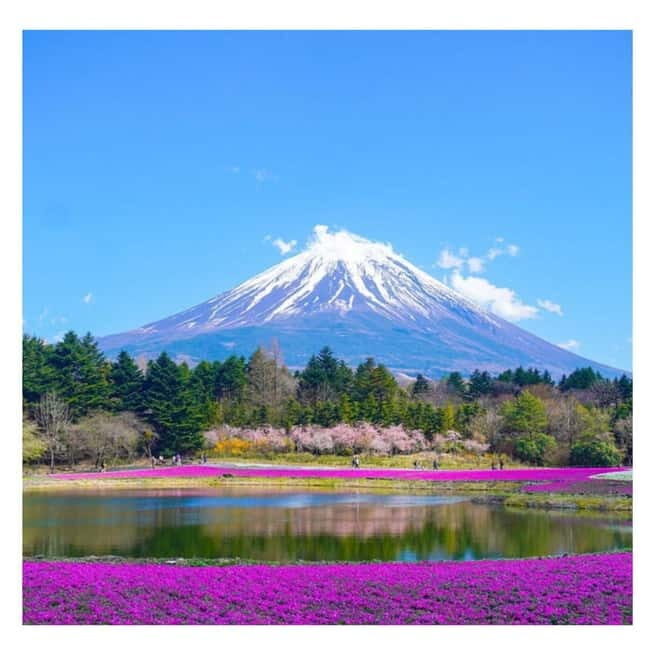 Tokyo: Mount Fuji Private Day Tour Comfortable Pickup & Drop - Who Will Love This Tour?