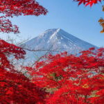 Tokyo: Mt. Fuji, Arakurayama Sengen Park, Oshino Hakkai Tour - The Itinerary: A Day Filled with Iconic Sights