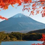 Tokyo: Mt. Fuji Hidden Gems and Aokigahara Forest Tour - Transport & Logistical Details