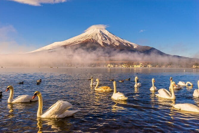 Tokyo Mt Fuji Kawaguchi and Yamanaka Onsen Tour with Pick up - Who Is This Tour Best For?