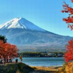Tokyo: Mt. Fuji, Oshino Hakkai and Gotemba Outlets 1Day Bus Tour - Kawaguchiko Craft Park and Lunch