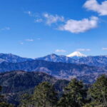 Tokyo: Mt. Takao Nature & Culture Hike with Private Guide - Authentic Experiences and Traveler Feedback