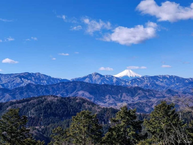 Tokyo: Mt. Takao Nature & Culture Hike with Private Guide - Authentic Experiences and Traveler Feedback