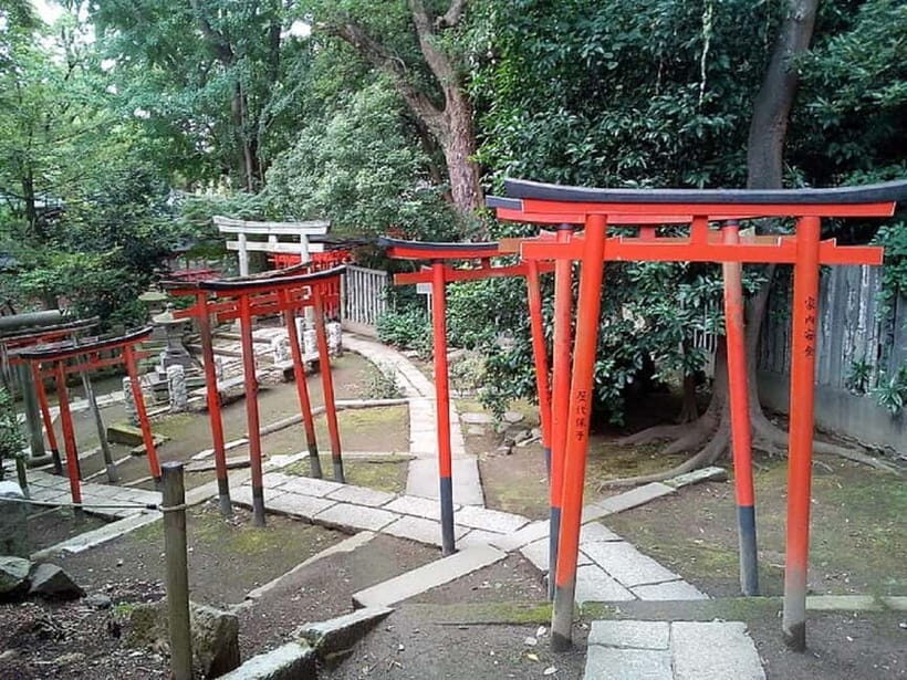 Tokyo: Nezu Shrine Guided Tour with Azalea Festival - Cultural Activities and Performances