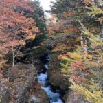 Tokyo: Nikko Day Tour with Private Vehicle and Guide - Why This Tour Offers Great Value
