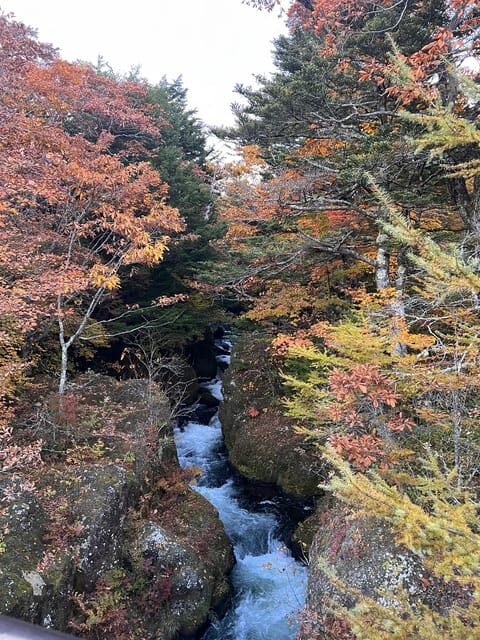 Tokyo: Nikko Day Tour with Private Vehicle and Guide - Why This Tour Offers Great Value