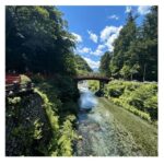 Tokyo: Nikko Kegon Falls Lake Chuzenji Toshogu Temple & More - Final Thoughts