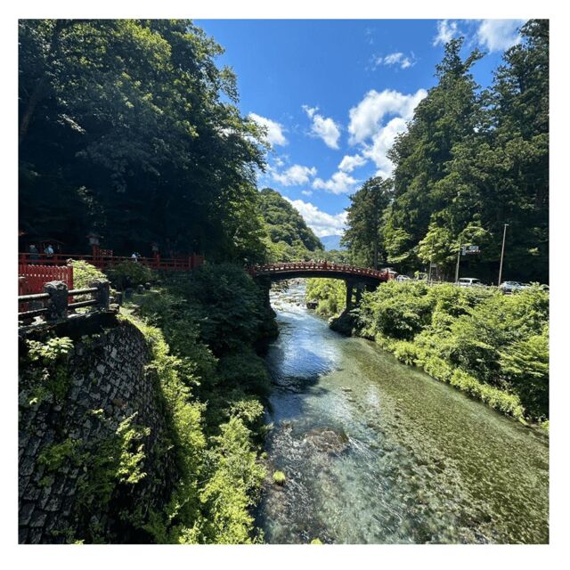 Tokyo: Nikko Kegon Falls Lake Chuzenji Toshogu Temple & More - Final Thoughts