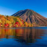 Tokyo: Nikko Toshogu Shrine and Kegon Waterfall Tour - What Travelers Say