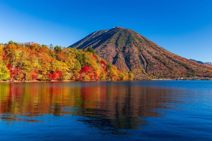 Tokyo: Nikko Toshogu Shrine and Kegon Waterfall Tour - What Travelers Say