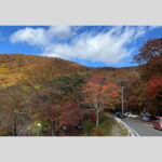 Tokyo: Nikko World Heritage Private Day Trip Hotel Pick-up - A Detailed Look at the Nikko Private Day Trip