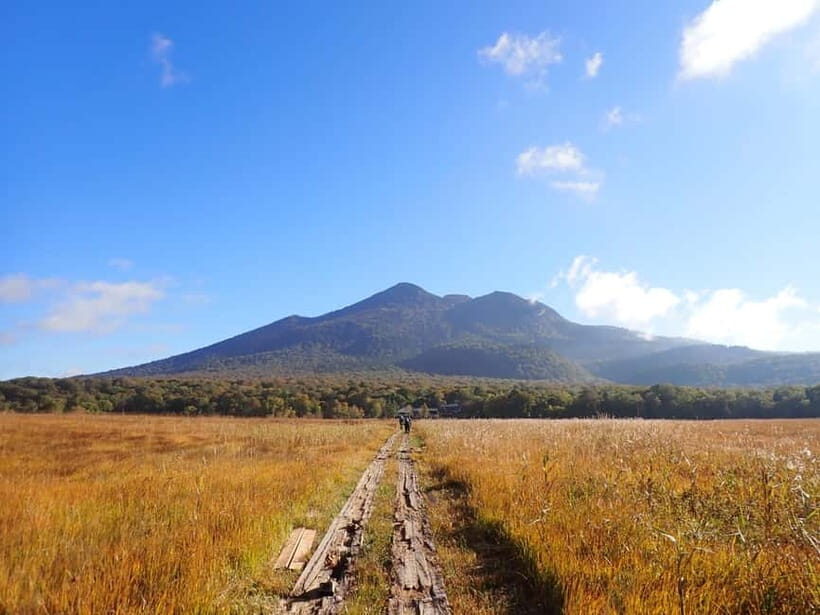 Tokyo: Oze Marshland Hiking Day Trip via Hatomachi Pass - The Itinerary: A Detailed Look
