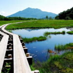 Tokyo: Oze National Park Self-Guided Hike with Overnight Bus - Overview of the Tour
