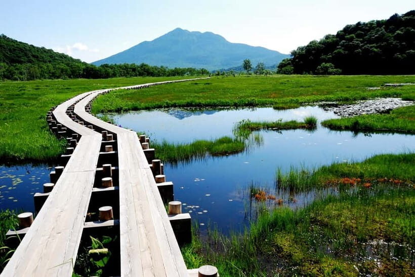 Tokyo: Oze National Park Self-Guided Hike with Overnight Bus - Overview of the Tour