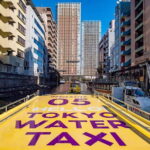 Tokyo: Panoramic Sunset Bay Cruise with Local Guide - Why This Experience is Special