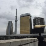 Tokyo: Private Car Tour with Mai - Key Points