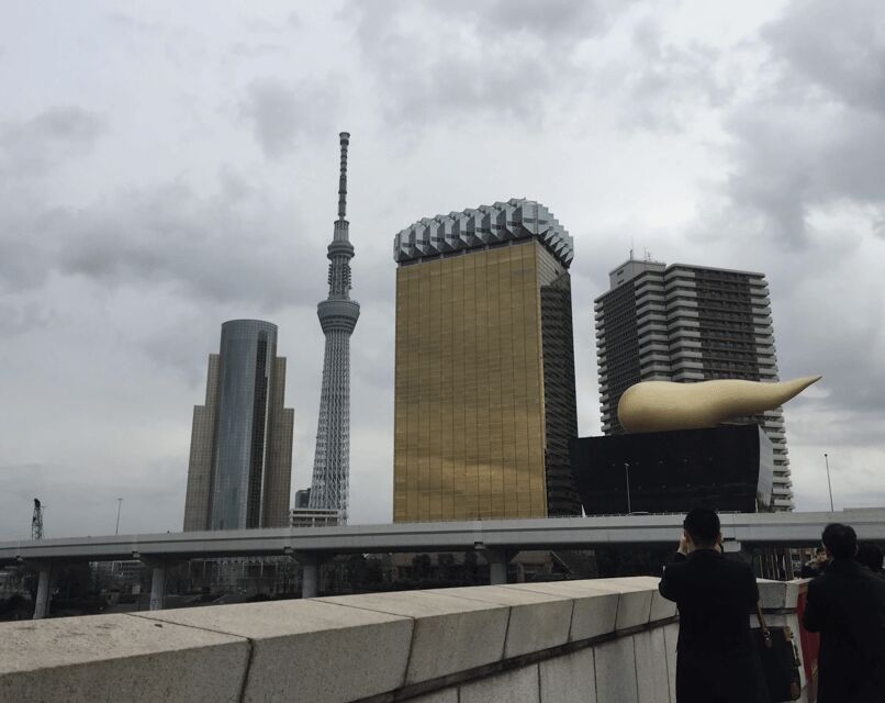Tokyo: Private Car Tour with Mai - Key Points