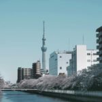 Tokyo: Private Customizable City Tour with Chauffeur - What’s the Experience Like?