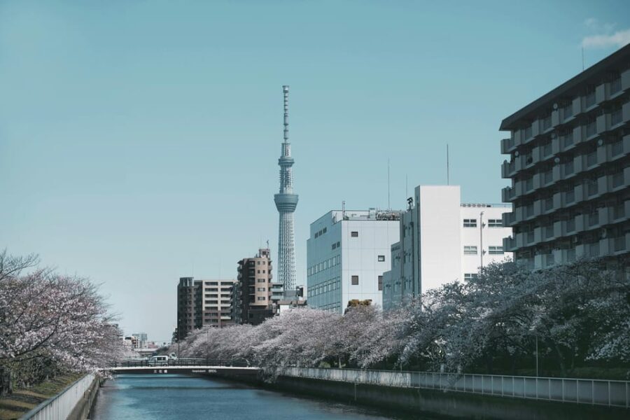 Tokyo: Private Customizable City Tour with Chauffeur - What’s the Experience Like?