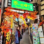 Tokyo: Private & Customizable Tour - All-in-One Experience - The Itinerary: What Might a Day Look Like?