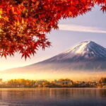 Tokyo: Private Day Tour to Mount Fuji with English Driver - Frequently Asked Questions