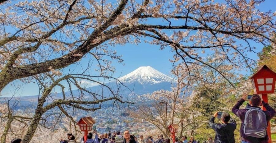Tokyo: Private Day Trip to Mount Fuji and Hakone - Analyzing the Value: Is It Worth the Price?