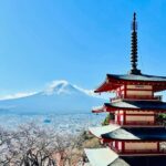 Tokyo: Private Half-Day Tour by Car with Local Guide - Why the Private Car and Guide Matter