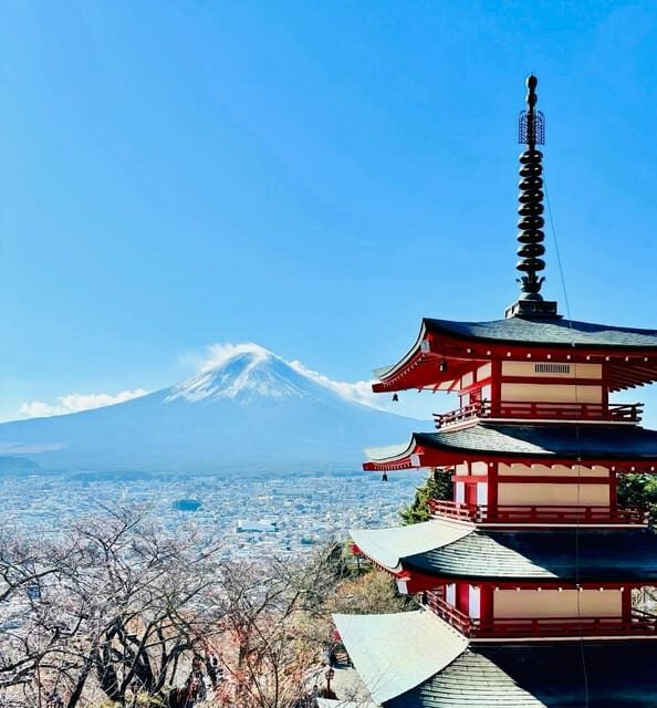 Tokyo: Private Half-Day Tour by Car with Local Guide - Why the Private Car and Guide Matter