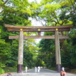 Tokyo Private Half Day Tour with Licensed Guide by Car - A Detailed Look at the Itinerary