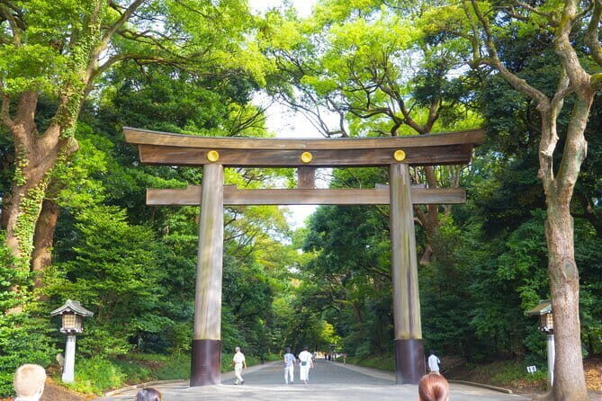 Tokyo Private Half Day Tour with Licensed Guide by Car - A Detailed Look at the Itinerary