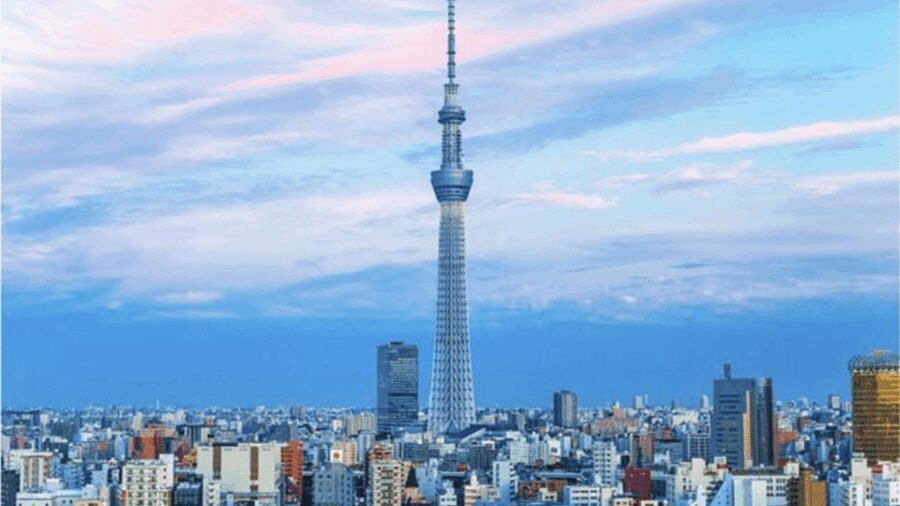 Tokyo: Private Instagramable Customised Tokyo City Day Tour - The Sum Up