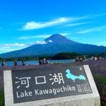 Tokyo: Private Mount Fuji and Hakone Day Trip with Guide - Key Highlights of the Tour