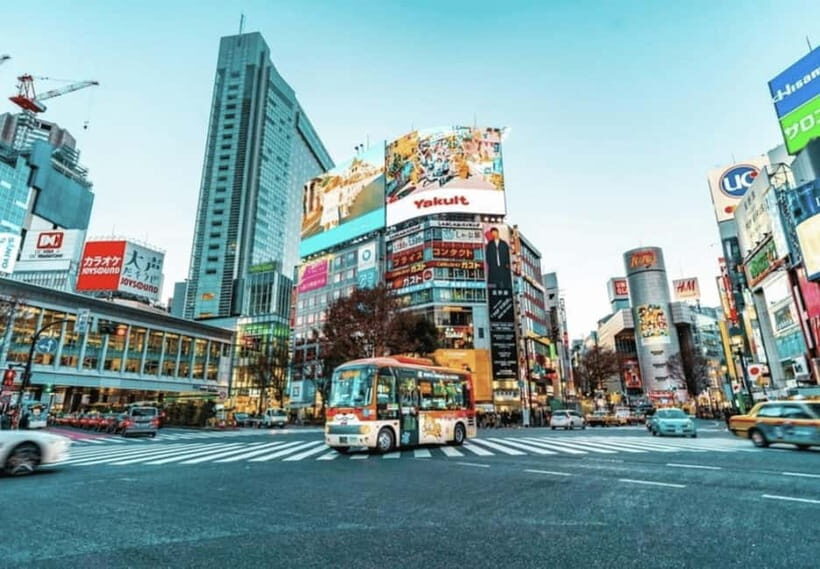 Tokyo: Private Shopping Tour with Hotel Pickup - The Sum Up
