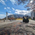 Tokyo private tour by car with pick up - What Sets This Tour Apart